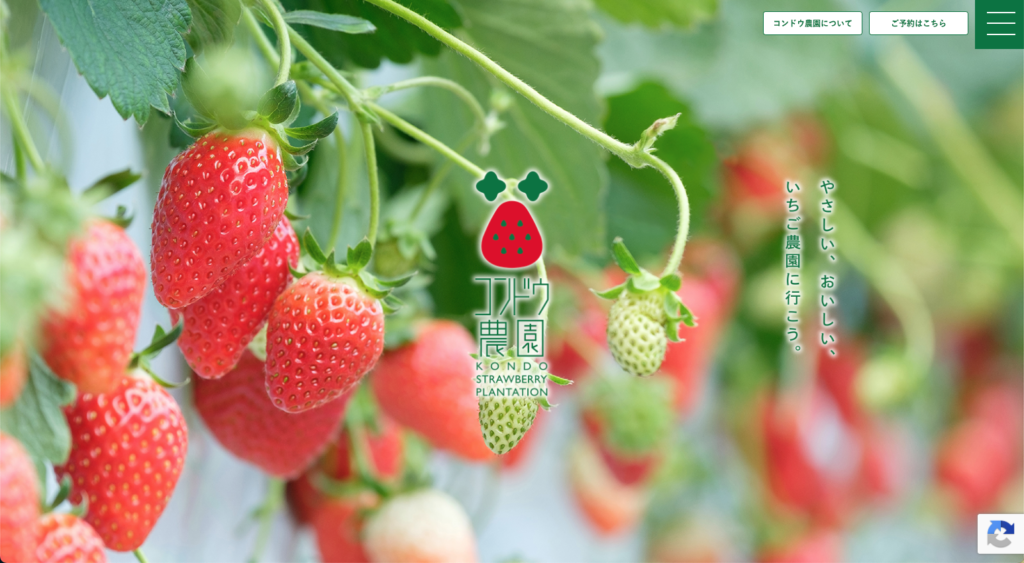 Webサイト制作（いちご農園） | 株式会社ラエン オフィシャルWEBサイト