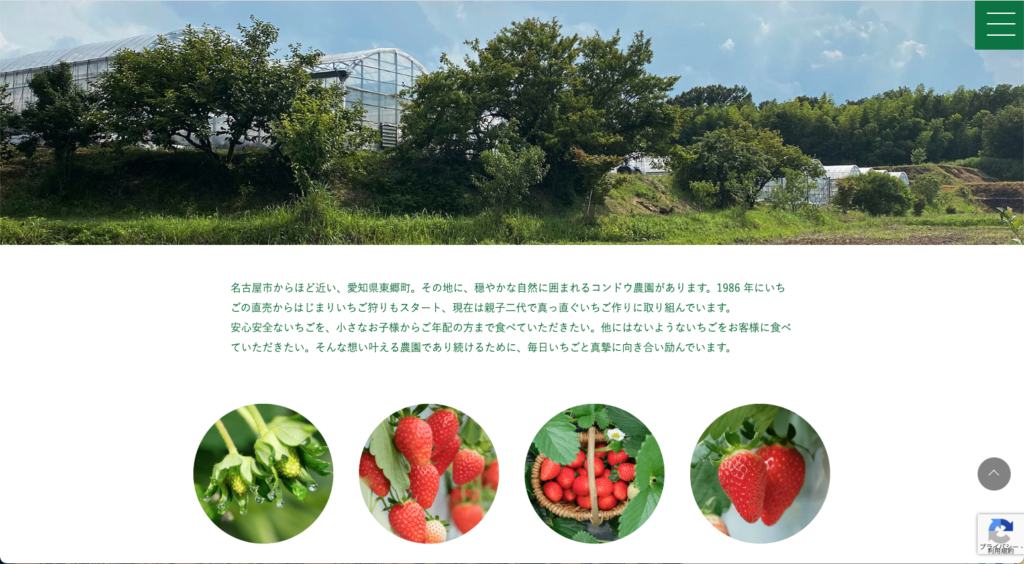 Webサイト制作（いちご農園） | 株式会社ラエン オフィシャルWEBサイト