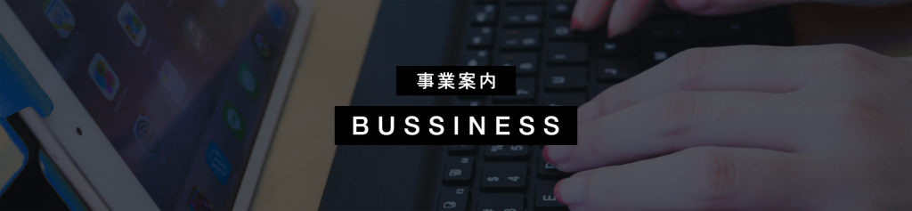 ラエンのビジネス「介護」「システム企画・開発」他
